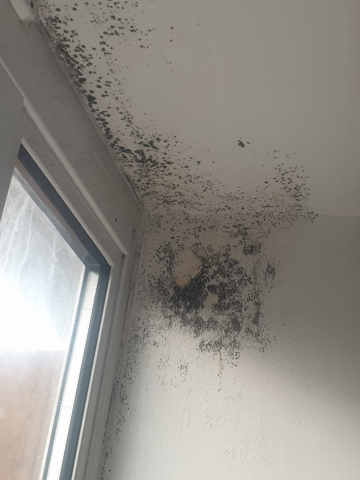 Nags Head Estate: Tenants’ Experiences of Unhealthy Homes - Medact